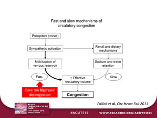 Cardiorenal Syndrome ghent university hospital , belgium | PDF
