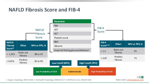 Slides From Hot Topics in NASH:New Strategies for the Diagnosis of NA…