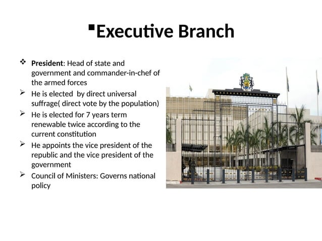 Slides Gabon political system and Government | PPT
