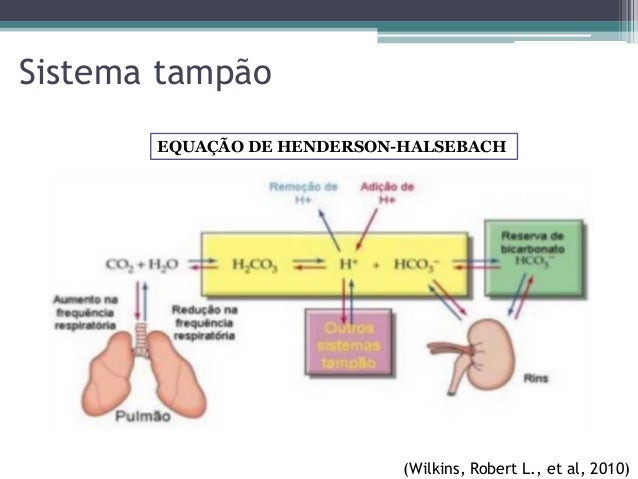 Gasometria Arterial