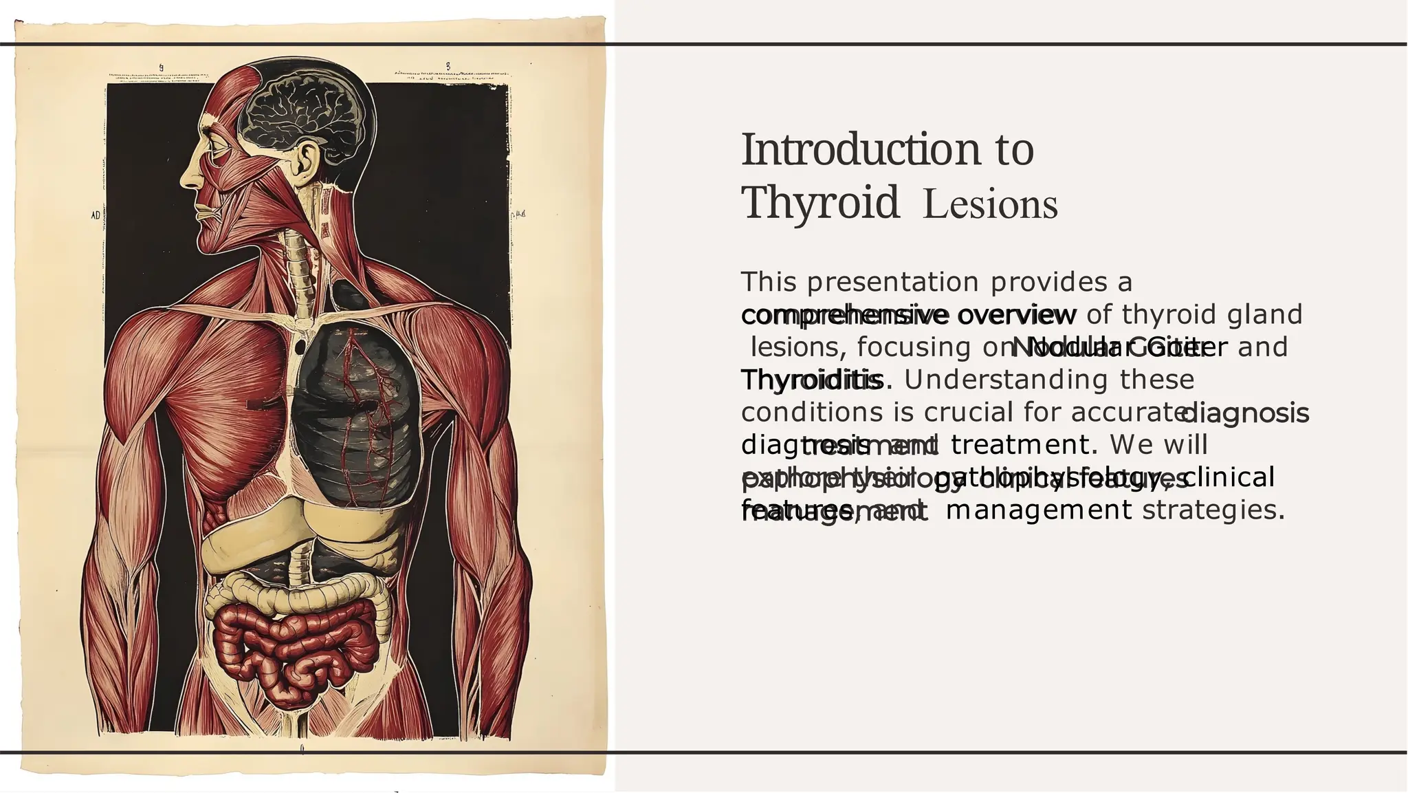 slidesgo-comprehensive-overview-of-thyroid-gland-lesions-nodular-goiter-and-thyroiditis ...