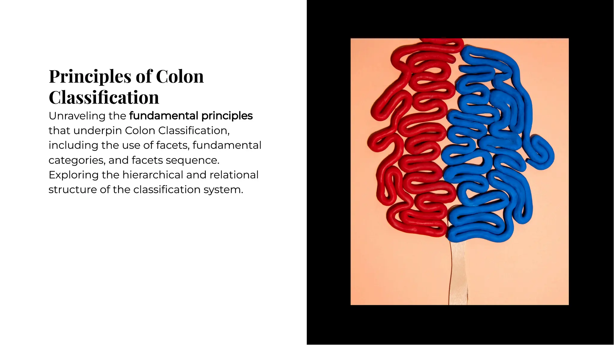 brief description of colon classification | PPT
