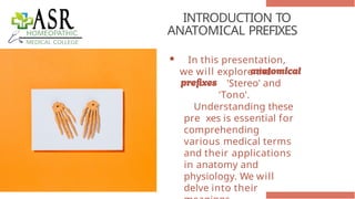 Anatomical prefixes stereo and tono by Vemavarapu Priscilla Jasper ...