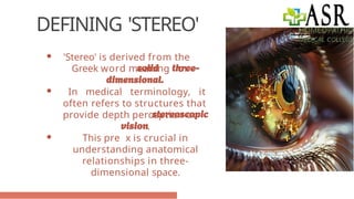 Anatomical prefixes stereo and tono by Vemavarapu Priscilla Jasper ...