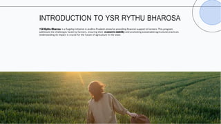YSR Rythu Bharosa: Transforming Agricultural Support For Farmers In ...
