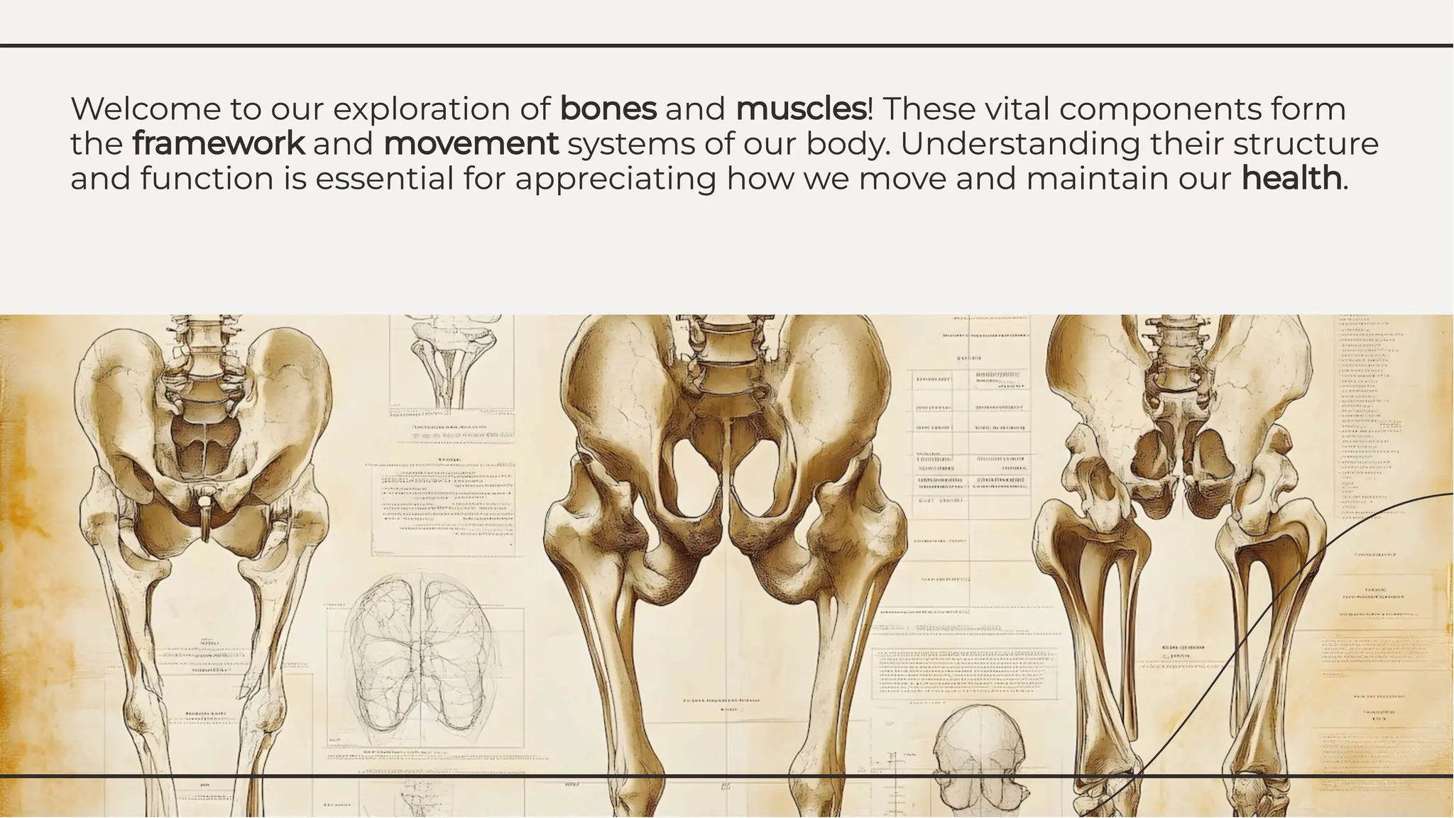 slidesgo-exploring-bones-and-muscles-the-building-blocks-of-our-body ...