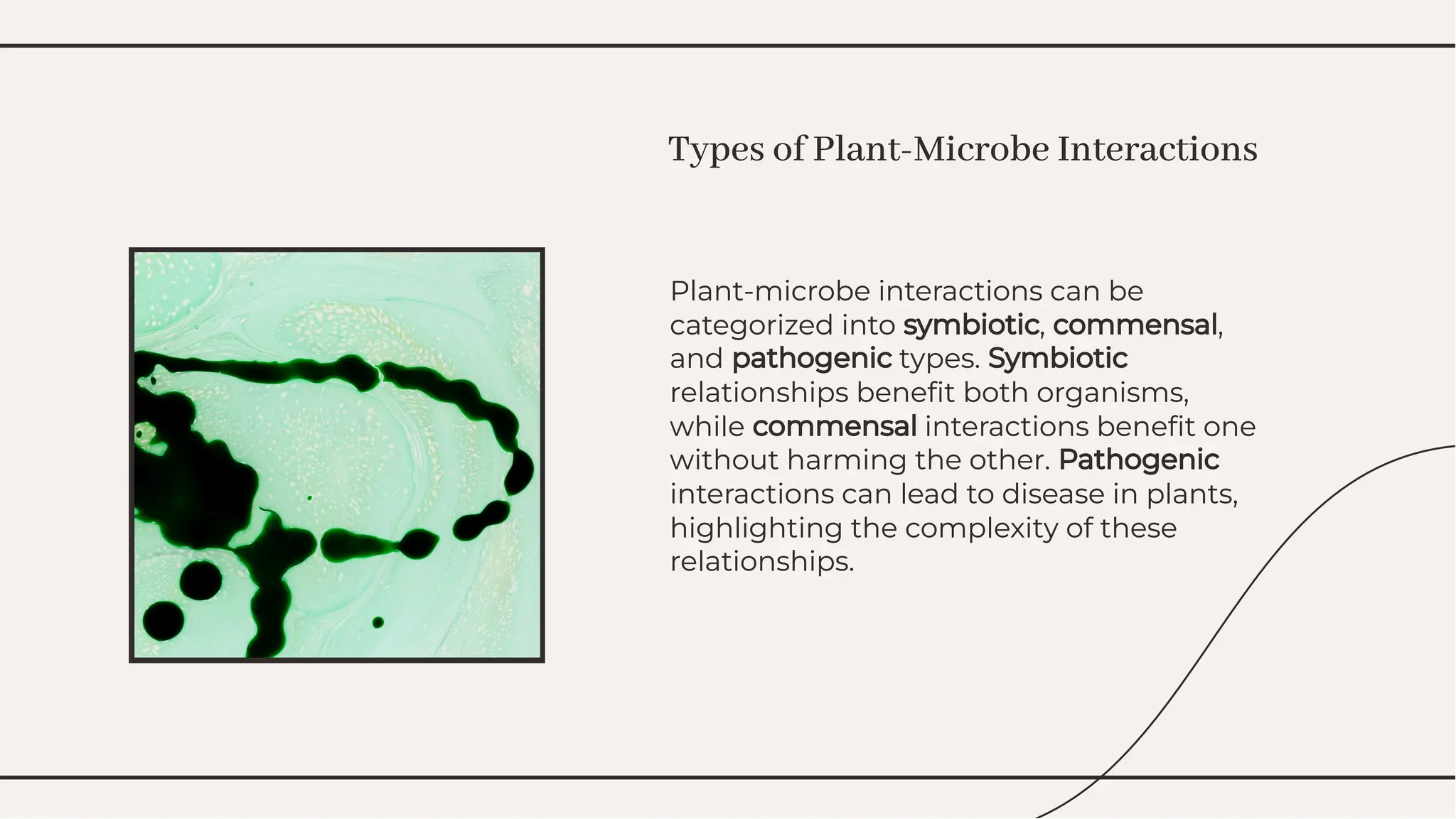 slidesgo-exploring-plant-microbe-interactions-modes-and-types-of ...