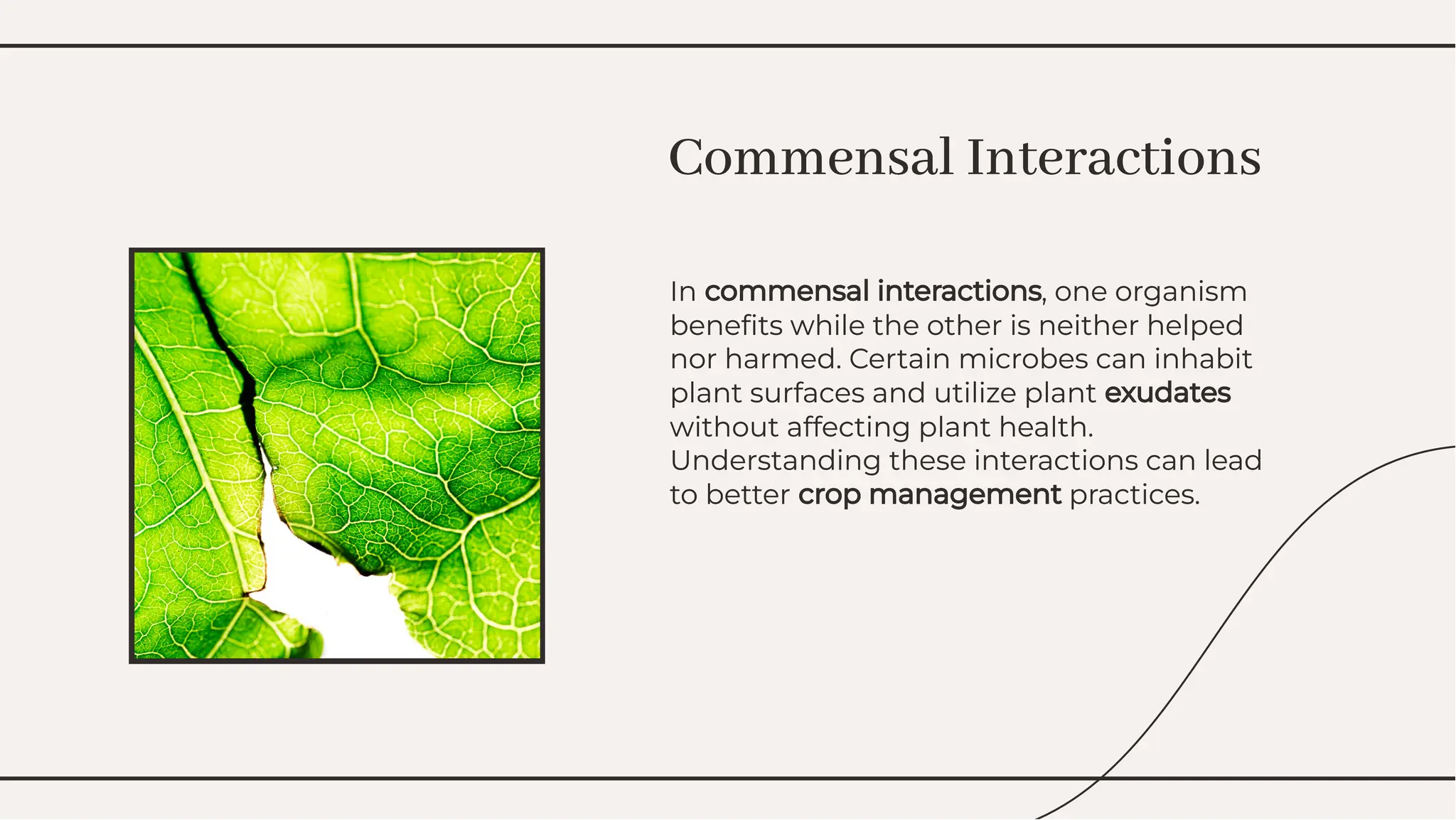 slidesgo-exploring-plant-microbe-interactions-modes-and-types-of ...
