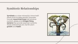 slidesgo-exploring-plant-microbe-interactions-modes-and-types-of ...