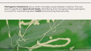 slidesgo-exploring-plant-microbe-interactions-modes-and-types-of ...