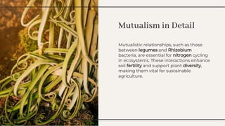 slidesgo-exploring-plant-microbe-interactions-modes-and-types-of ...