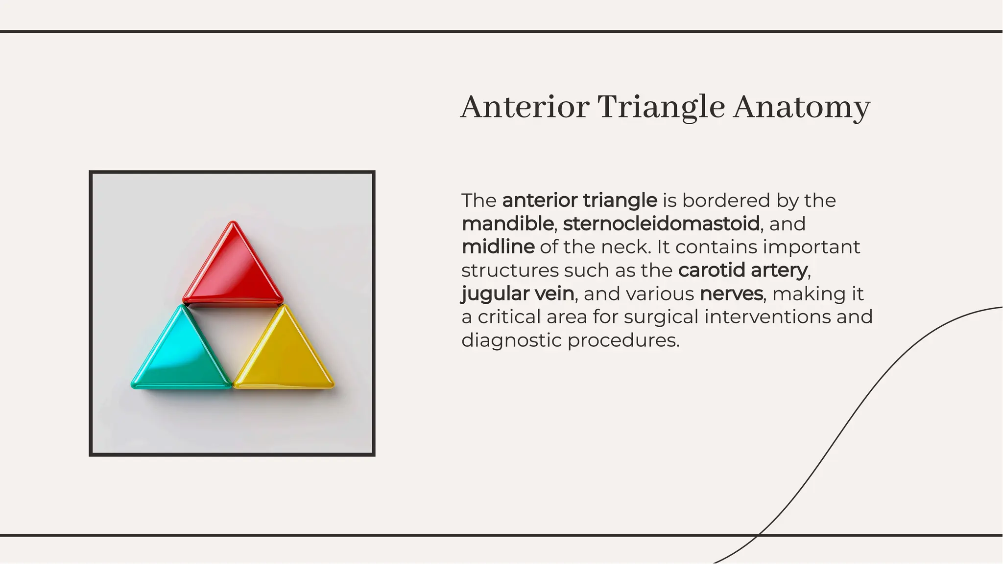 slidesgo-exploring-the-anatomical-triangles-of-the-neck-structure-and ...