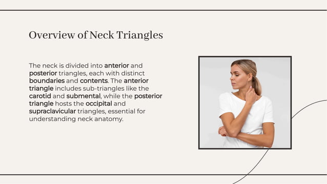 slidesgo-exploring-the-anatomical-triangles-of-the-neck-structure-and ...
