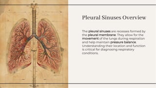 slidesgo-exploring-the-chest-cavity-anatomy-and-function-of-the-pleura ...