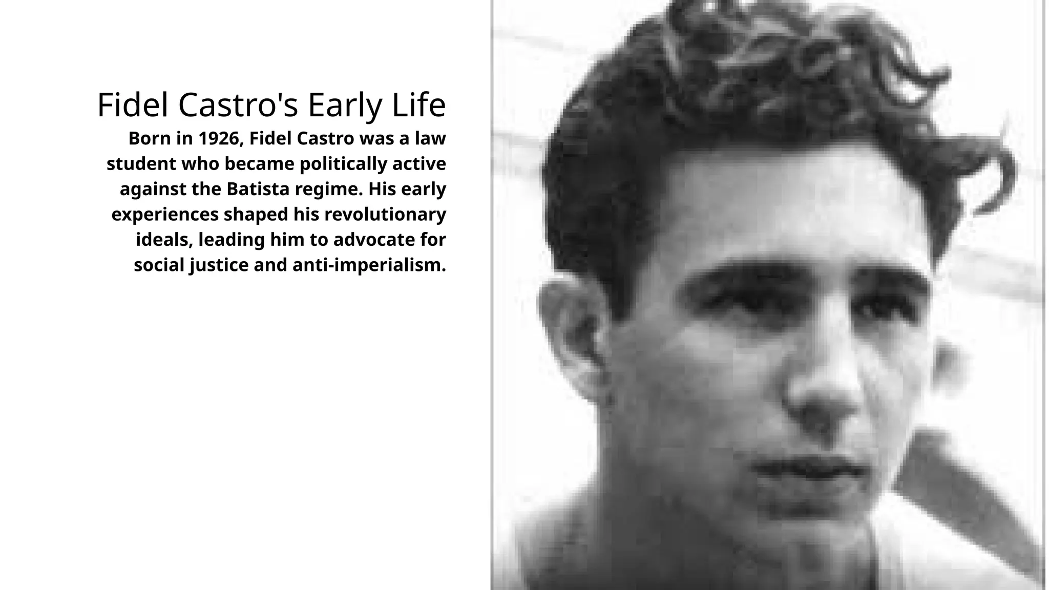 -fidel-castro-and-che-guevara-architects-of-the-cuban-revolution ...