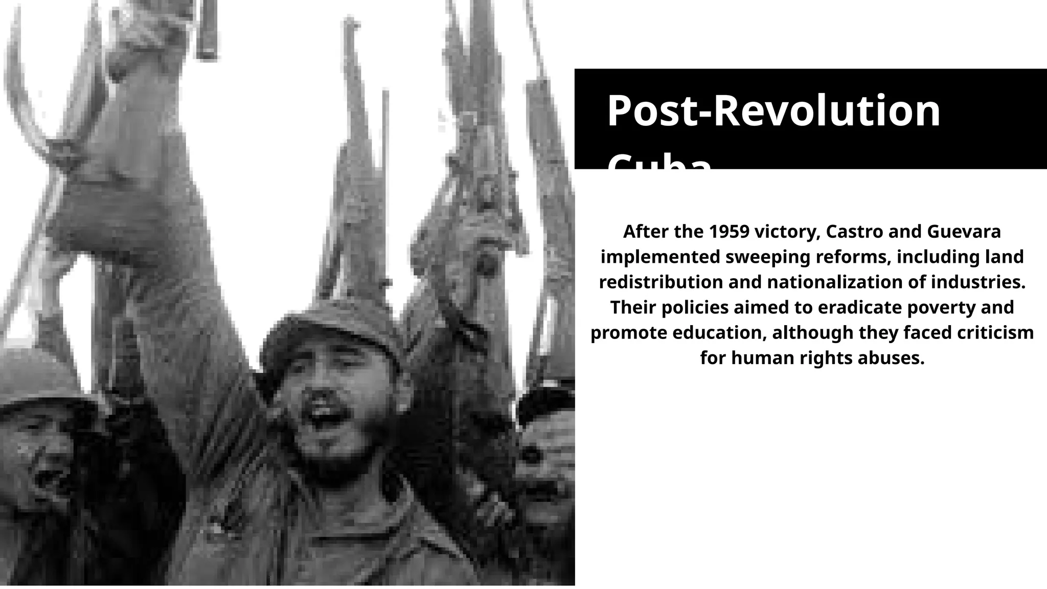 -fidel-castro-and-che-guevara-architects-of-the-cuban-revolution ...