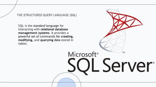 slidesgo-fundamental-principles-of-sql-and-database-management-systems-an-exploration-of ...