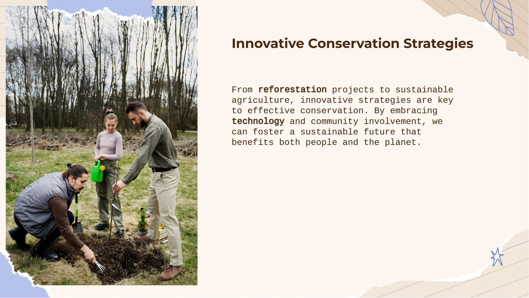 Environment " sustainability and conservation" | PDF