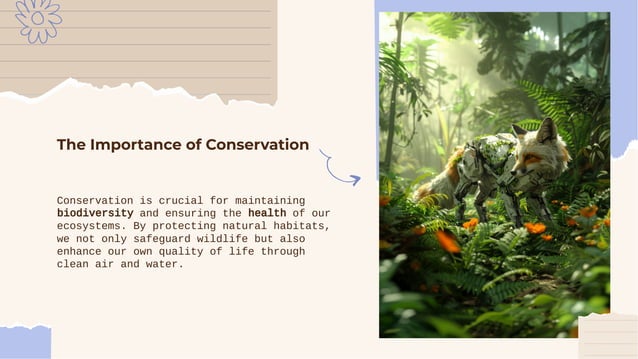 Environment " sustainability and conservation" | PDF