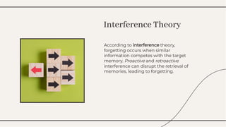 mastering-memory-understanding-the-forgetting-process-20240504070247JZz2.pdf