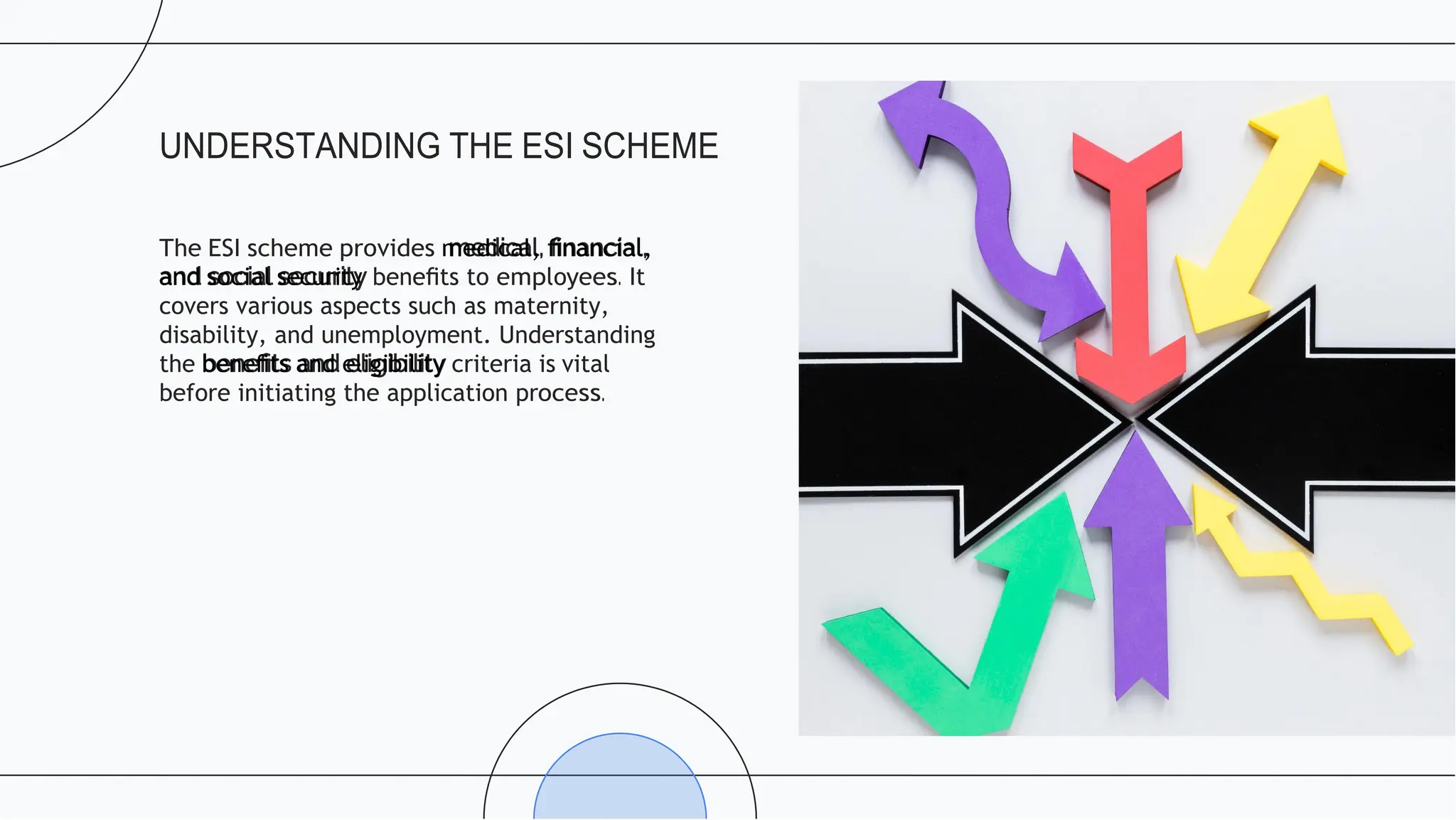 How To Apply For The ESI Scheme In 2024? | PDF