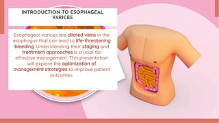 slidesgo-optimizing-management-strategies-for-esophageal-varices ...
