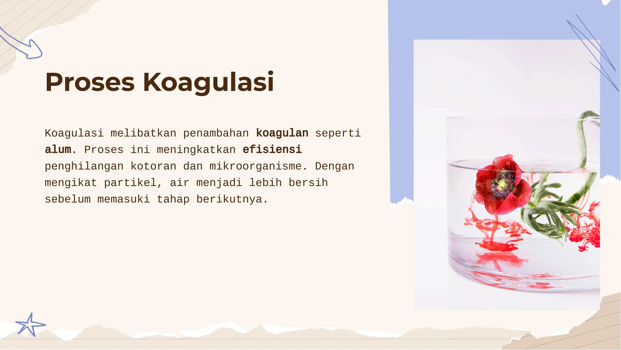 proses-kimia-pengolahan-air-di-hotel-koagulasi-filtrasi-dan-klorinasi ...