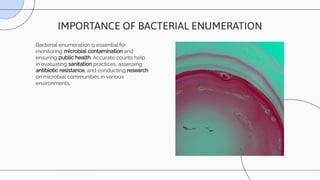 Quantitatuve Methods for Bacterial Cell Enumeration.pdf