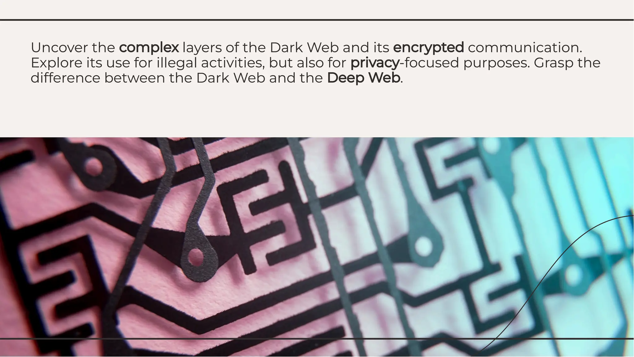 The hidden world Navigating the Dark Web | PDF