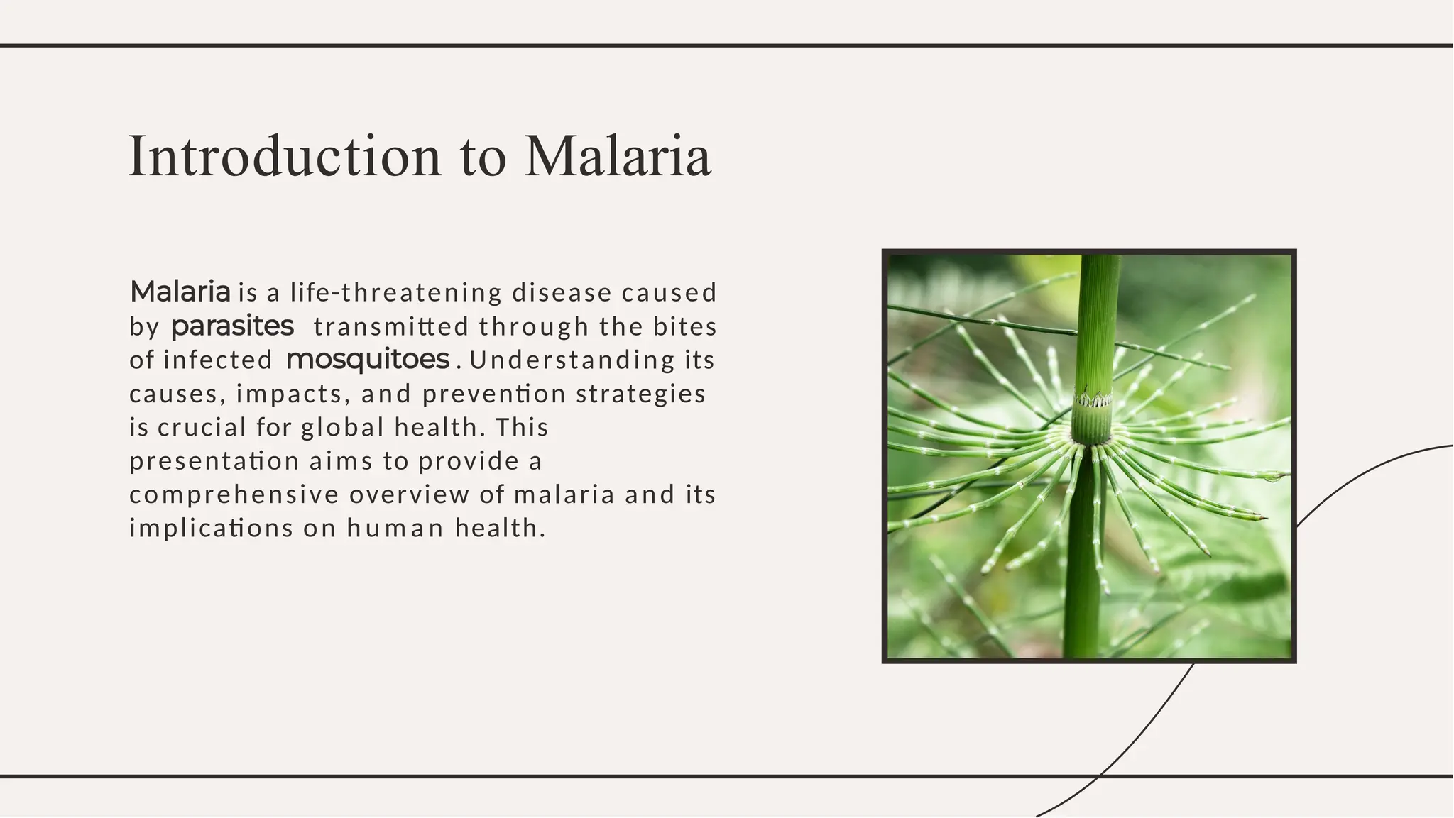 understanding-malaria-causes-impacts-and-prevention-strategies ...