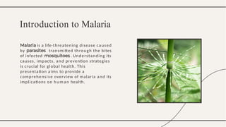 understanding-malaria-causes-impacts-and-prevention-strategies ...