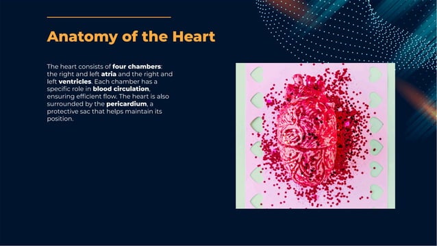Human Heart: Structure, Function and Health Implications | PPT