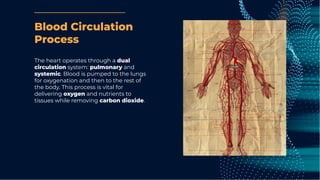 Human Heart: Structure, Function and Health Implications | PPT