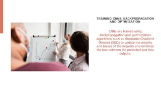 slidesgo-unlocking-the-power-of-convolutional-neural-networks-a-comprehensive-introduction ...