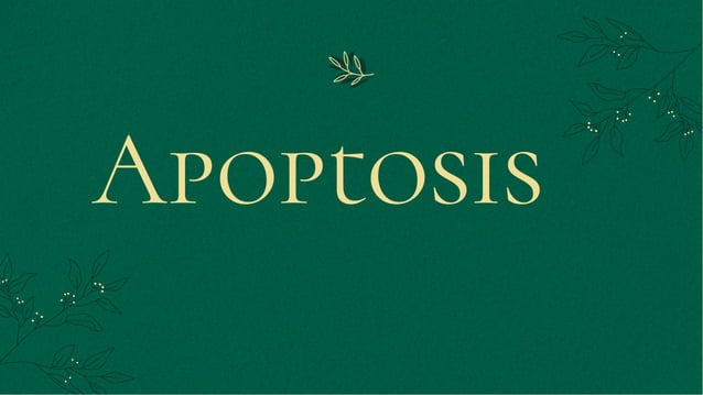Brief Presentation About the Apoptosis (Programmed cell death) | PPT