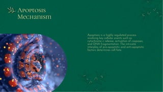 Brief Presentation About the Apoptosis (Programmed cell death) | PPT