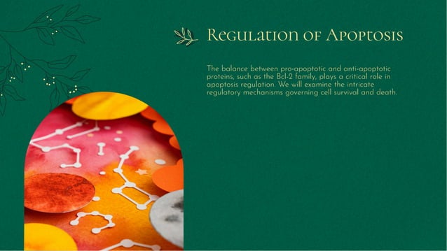 Brief Presentation About the Apoptosis (Programmed cell death) | PPT