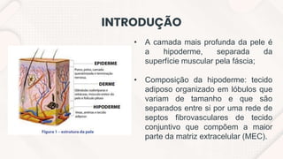 Slide de aula de HIPODERMÓCLISE em idosos | PPTX