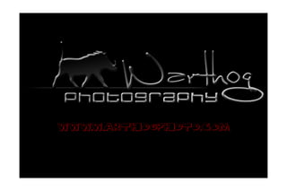 Warthog Photography - Models, Bands/Music, Original Portraiture. | PPT