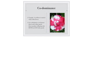 Complex inheritance | PPT