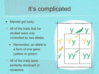 Complex Inheritance | PPT