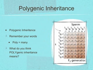 complex inheritance | PPT