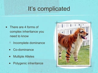 complex inheritance | PPT