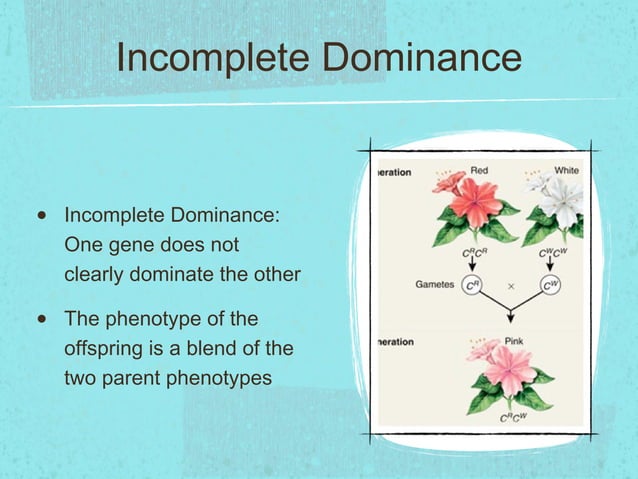 complex inheritance | PPT