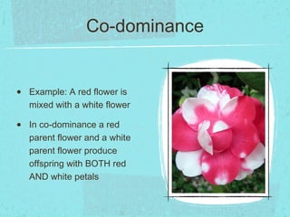 complex inheritance | PPT