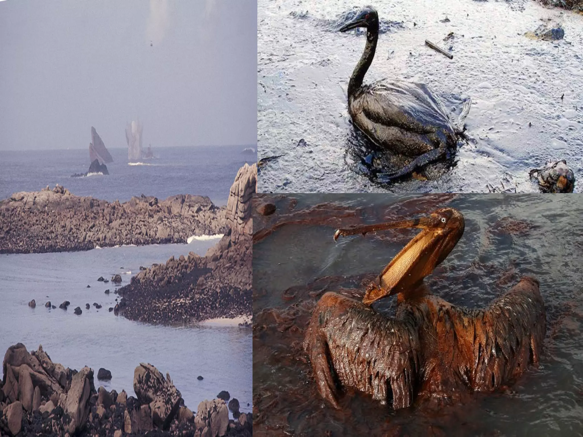 Different Tools to Detect and Monitor Oil Spills Aerial Observation ...