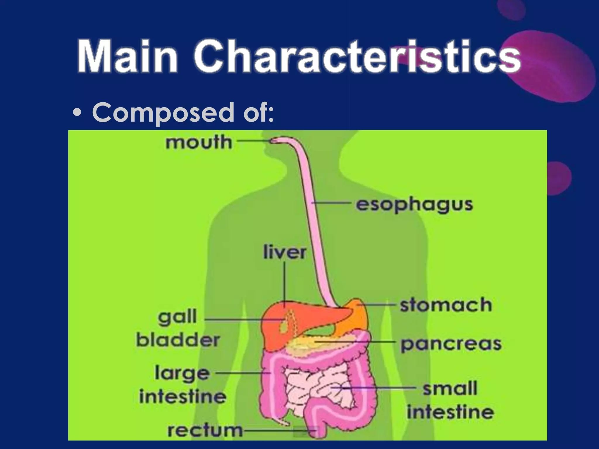 Digestion System's Diseases | PPTX