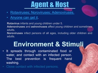 Digestion System's Diseases | PPTX