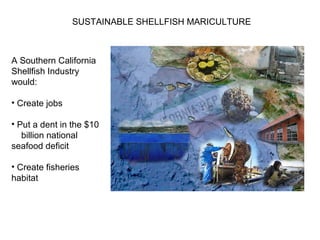 Catalina Sea Ranch | PPT