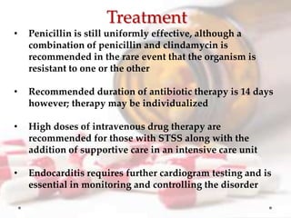 The Toxic Invasion of Streptococcus pyogenes | PPTX
